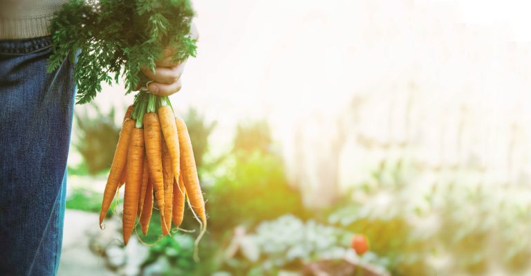 Blog - Oryana Community Co-op