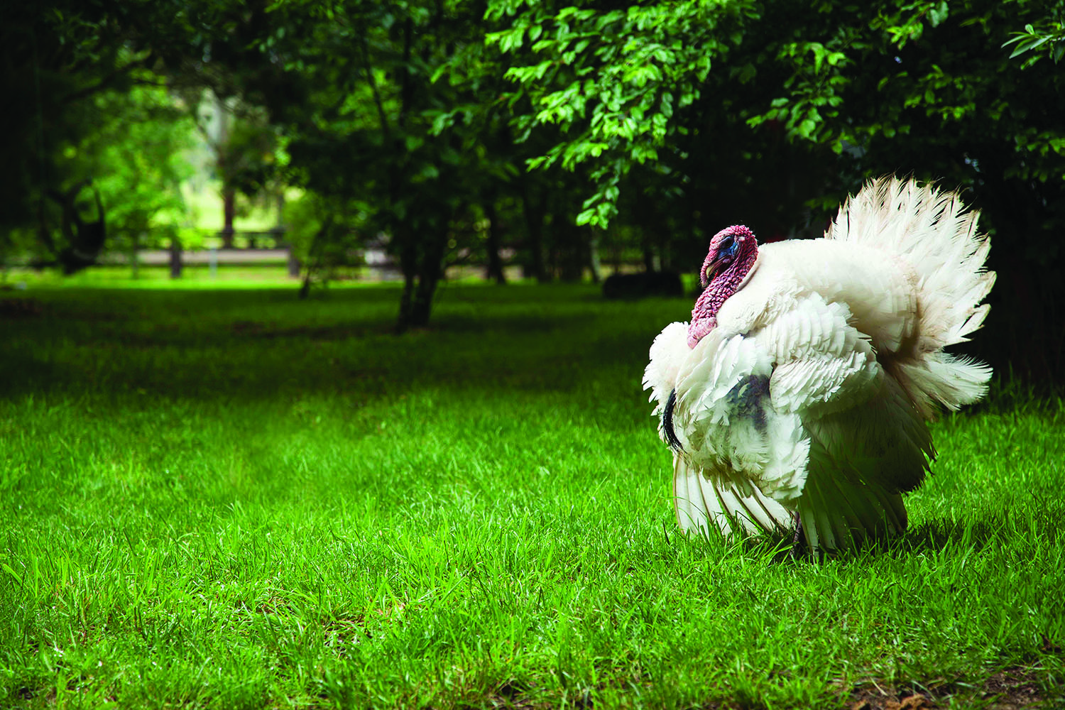 Blog - Oryana Community Co-op