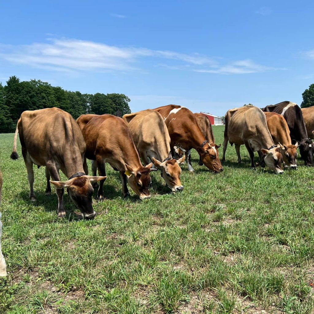 Our Local Vendors - De Vor Dairy Farm & Creamery - Oryana